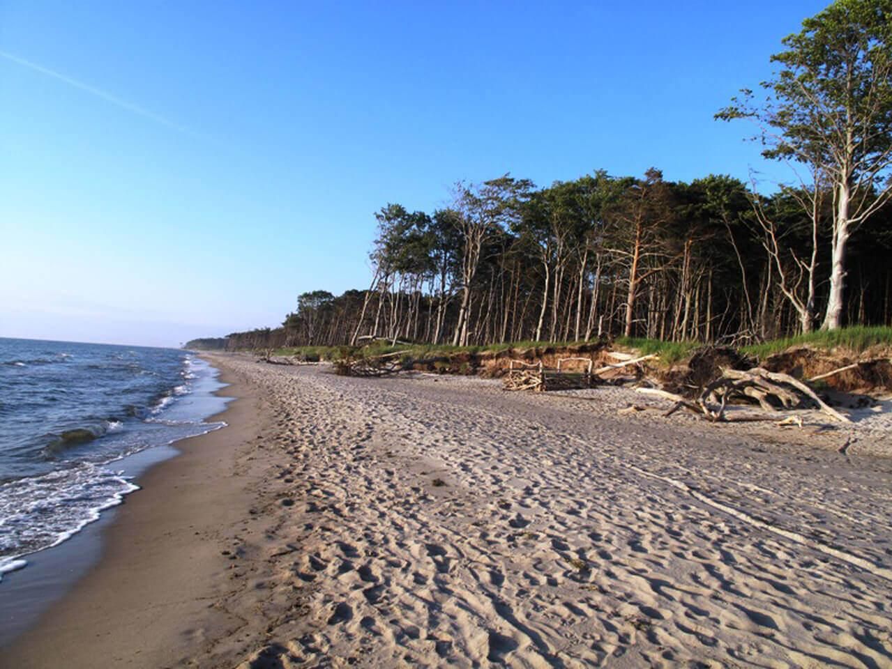 Die Halbinsel Darss